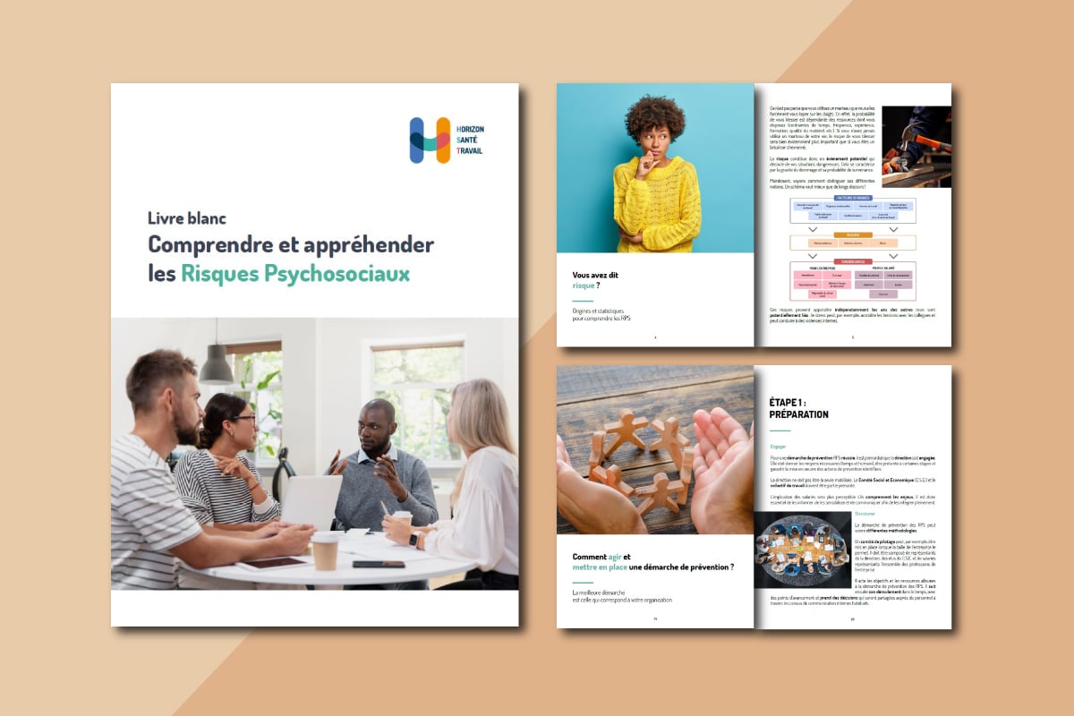 [Livre blanc] Comprendre et appréhender les Risques Psychosociaux ...